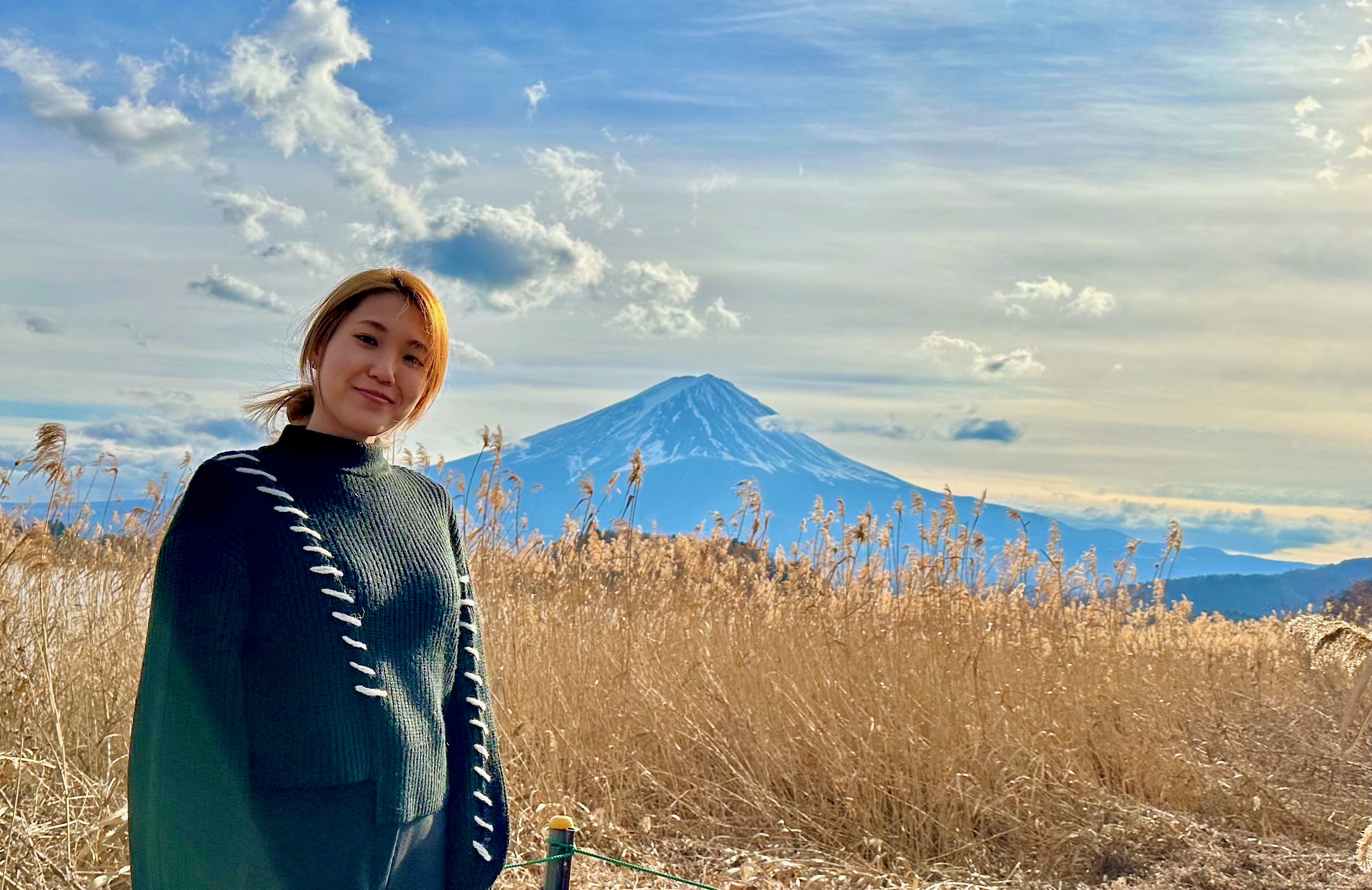 Data Analysis Porfolio by Yvonne